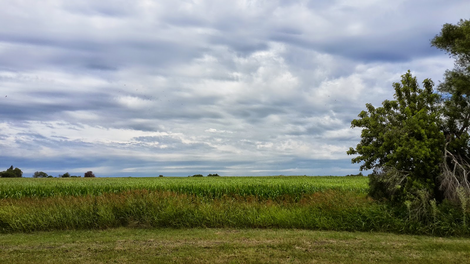 Villa Urquiza-Entre Ríos-Argentina.: Campo entrerriano.