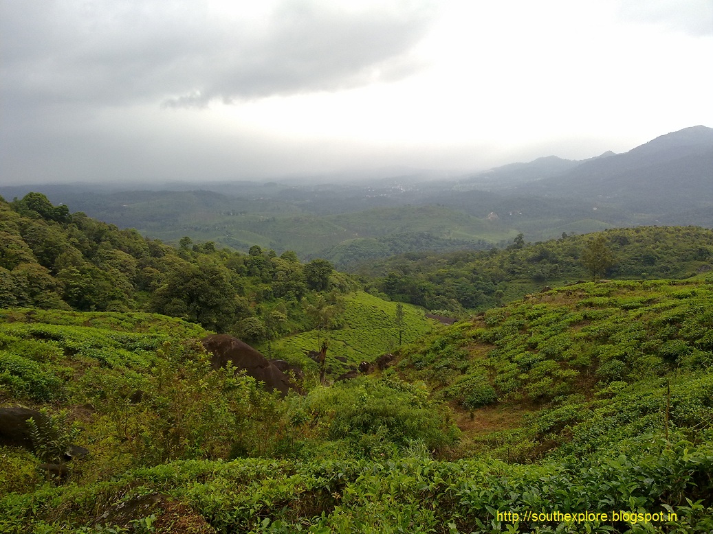 Tourist Destination Wayanad
