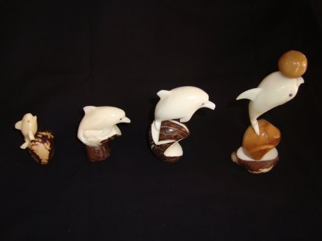 La mejor Tagua en Ecuador