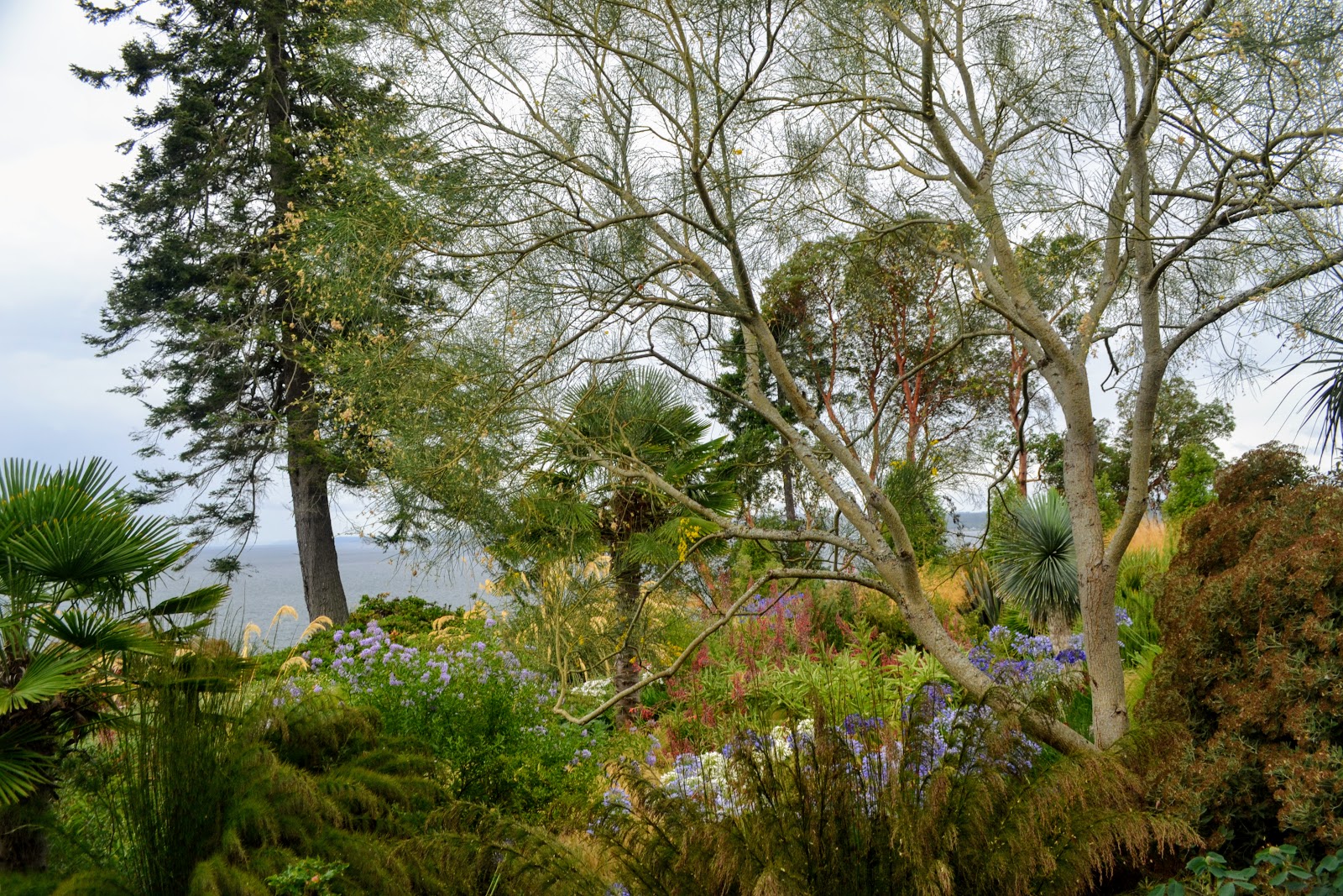 The Outlaw Gardener: Windcliff in Late Summer