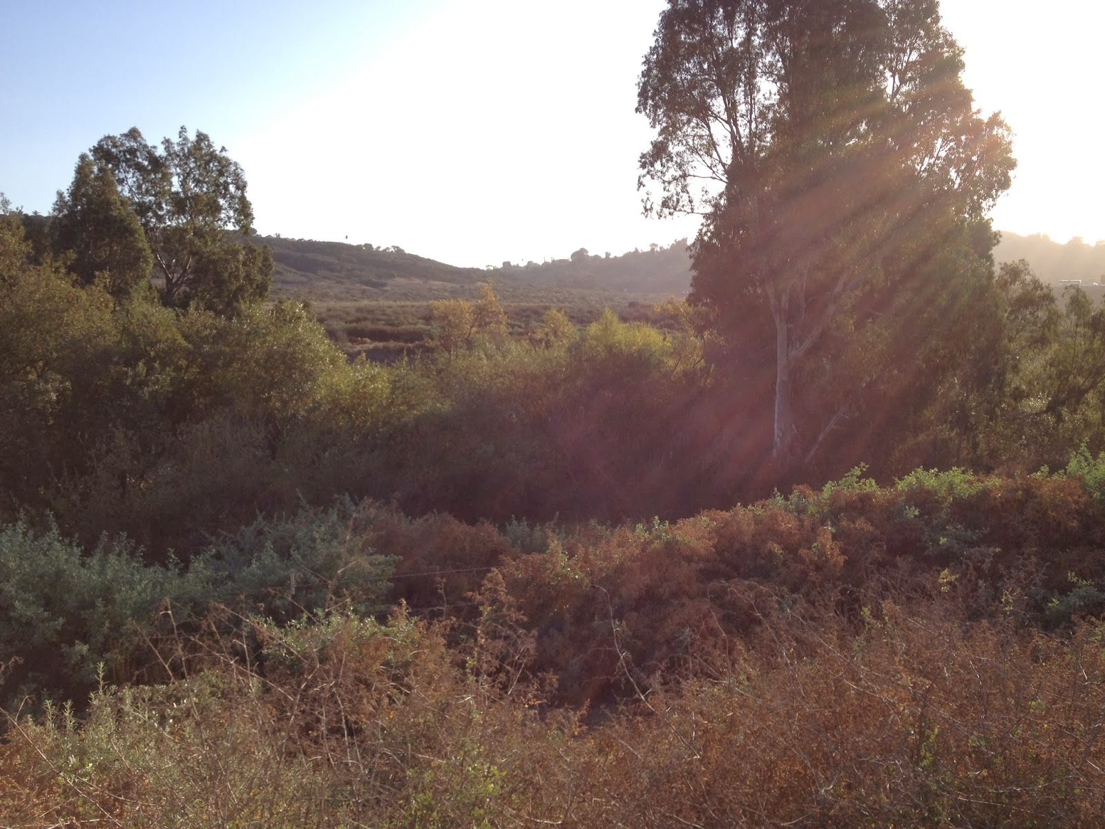 Caleb's Geography Blog: Dust Devil Nature Trail - San Diego, California