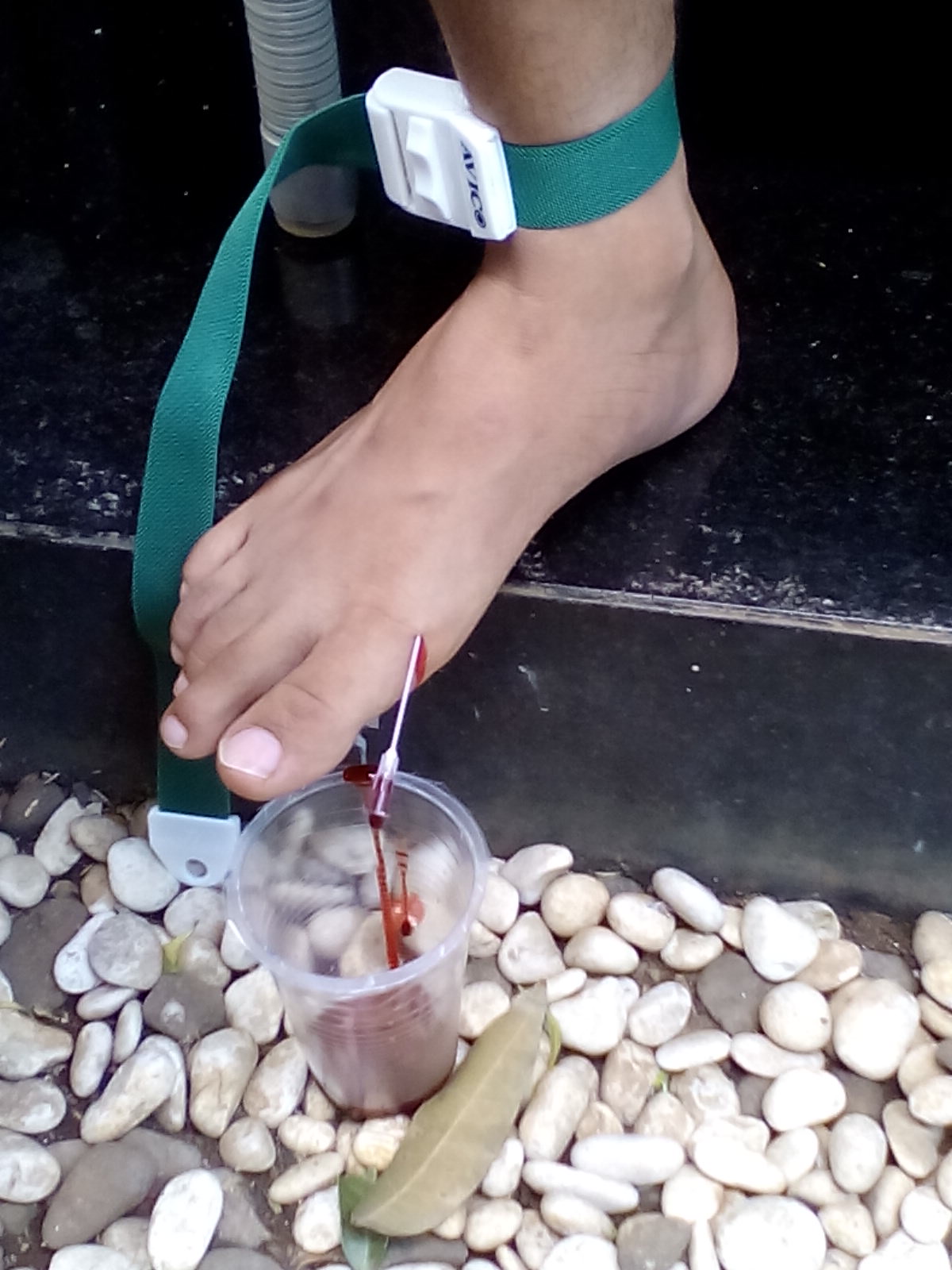 TERAPI KESEHATAN AL FASHDU - SEHATEACHER