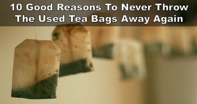 10 Good Reasons To Never Throw The Used Tea Bags Away Again