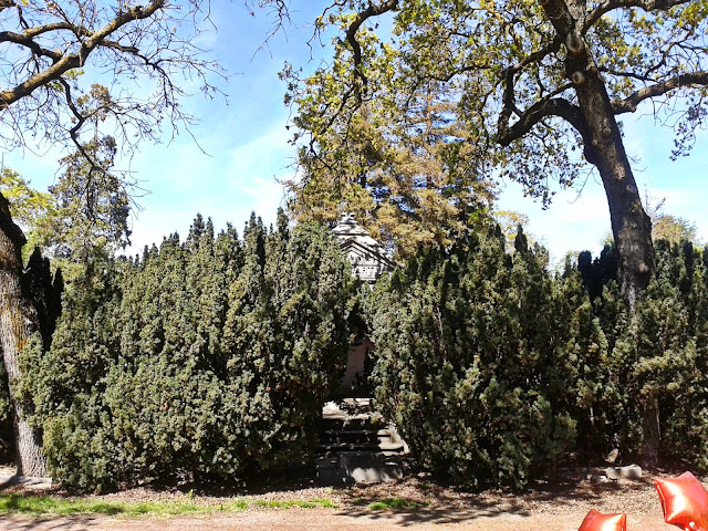 Remembering Stockton History: Block 27, Stockton Rural Cemetery