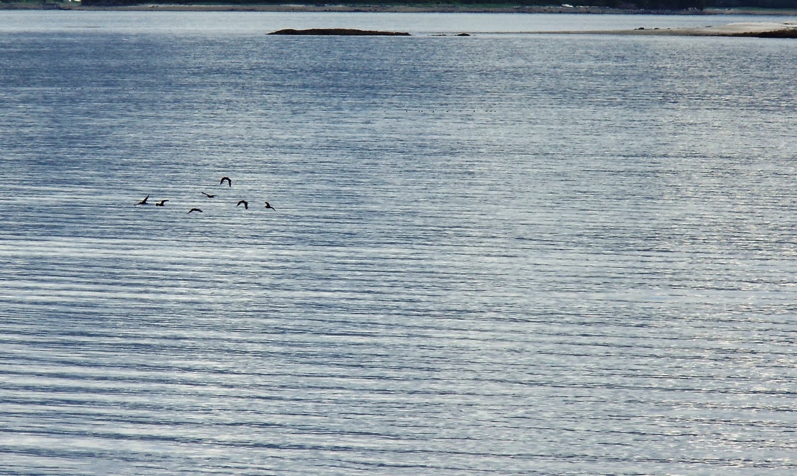 Sandra's Alaska Photography: July 27, 2011: A PHENOMENAL DAY...