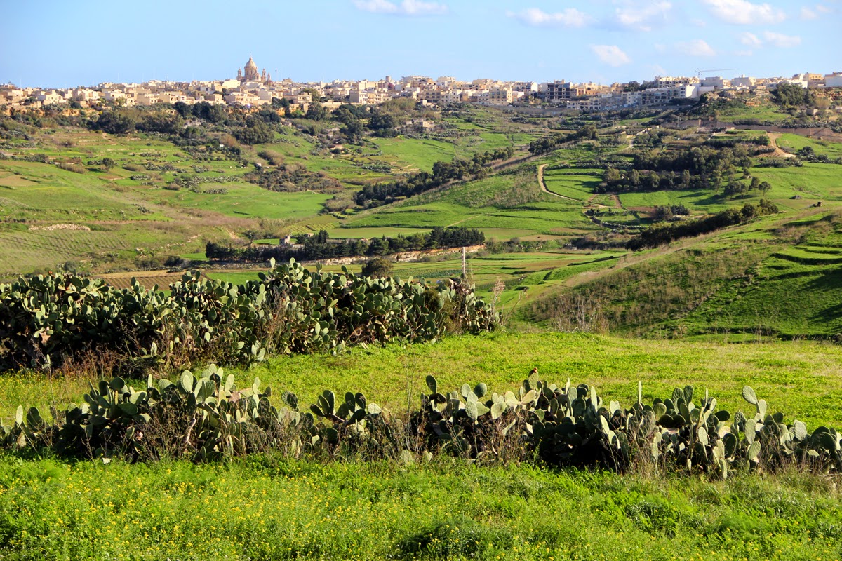 Fotoreportaže iz potovanj. Svet kot ga vidim.: Malta 2014: Izlet na ...