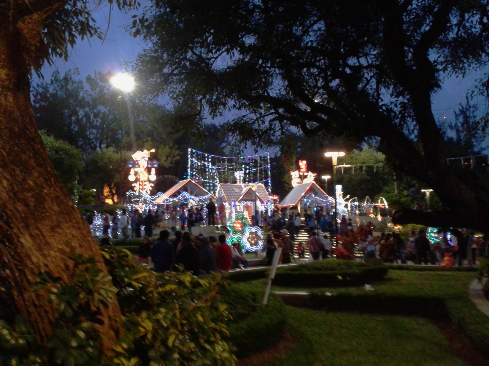 Baguio-Sagada-Cordillera Travels: Burnham Park 2013 Christmas