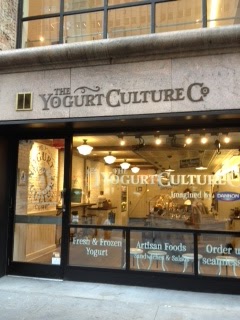 Fro-Yo Girl Speaks: Fro-yo Postcards from NYC