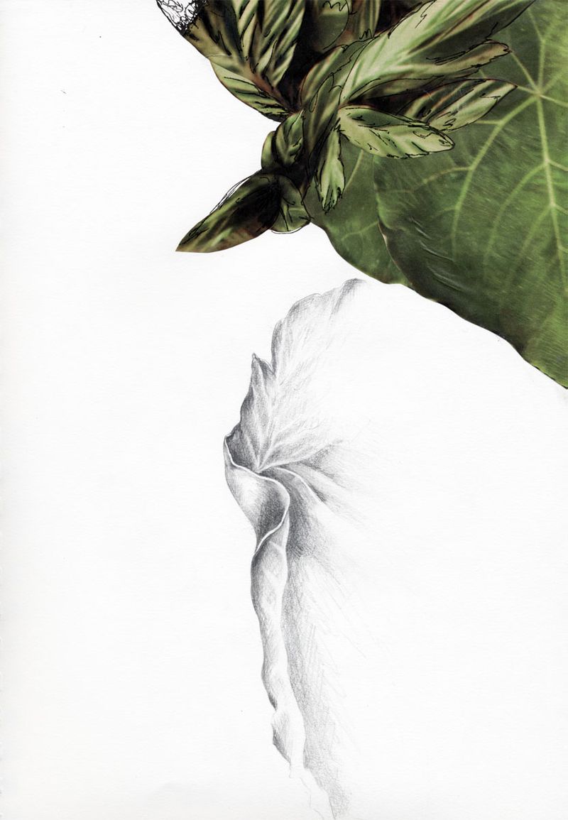 Art shares: Amy Ross, Contemporary watercolorist and collage artist