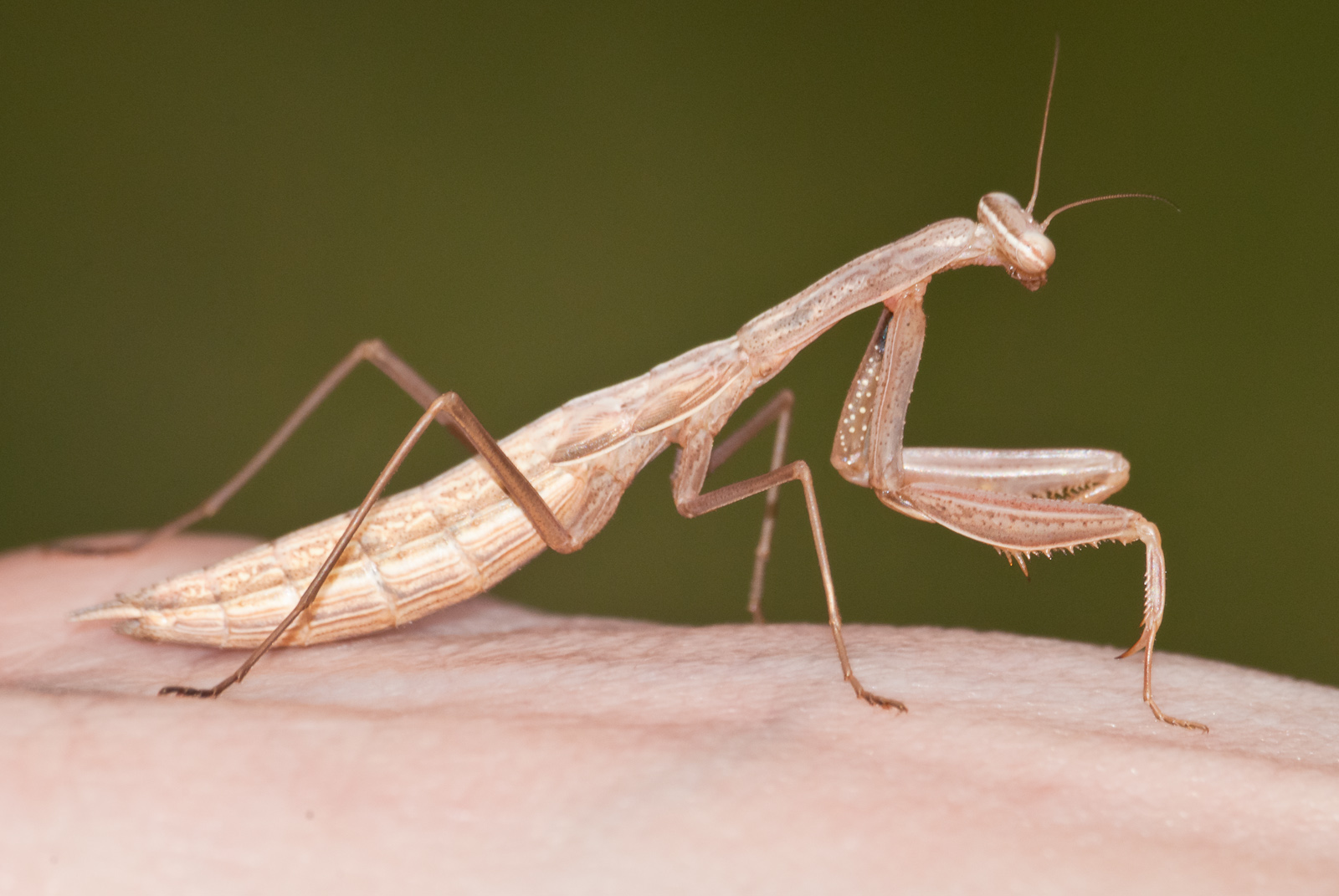 My Exposures Online - By Blaž Ferlič