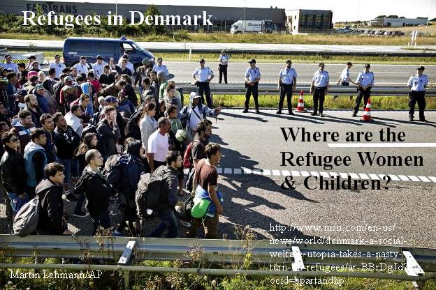 The RoanokeSlant: Denmark No Longer A Sanctuary Country For Middle-East ...