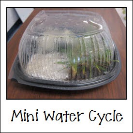 Classroom Freebies: Mini Water Cycle Fun