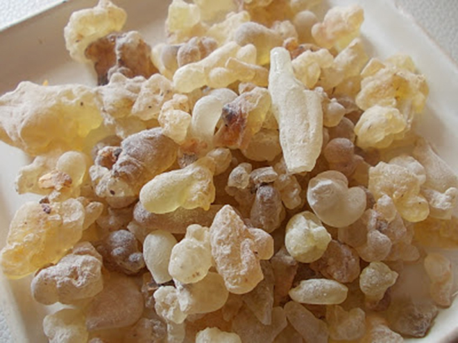 I G-Nius Luban - Makanan Sunnah Tambahan Untuk Anak Anda | Blog ...