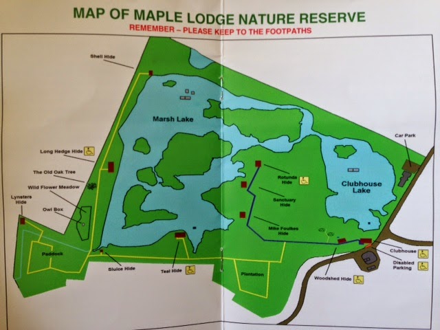 Wino Wendys Wildlife World : My first visit to Maple Lodge Nature Reserve