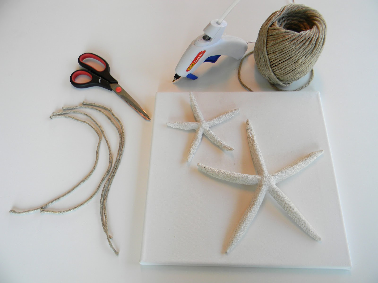 Seaside Interiors: DIY Starfish Art
