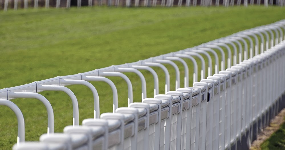 Aussie's Hub: Types & Benefits of Horse Race Rails