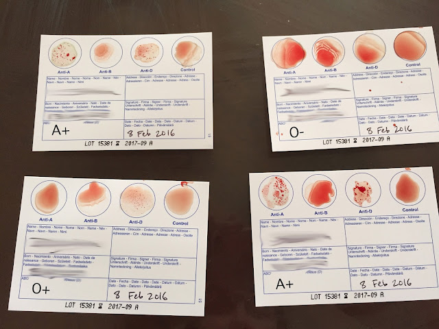 A school of fish: Blood typing activity