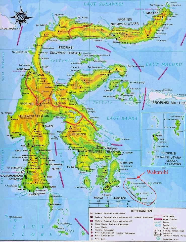 Contained in Sulawesi: Sulawesi Provinces