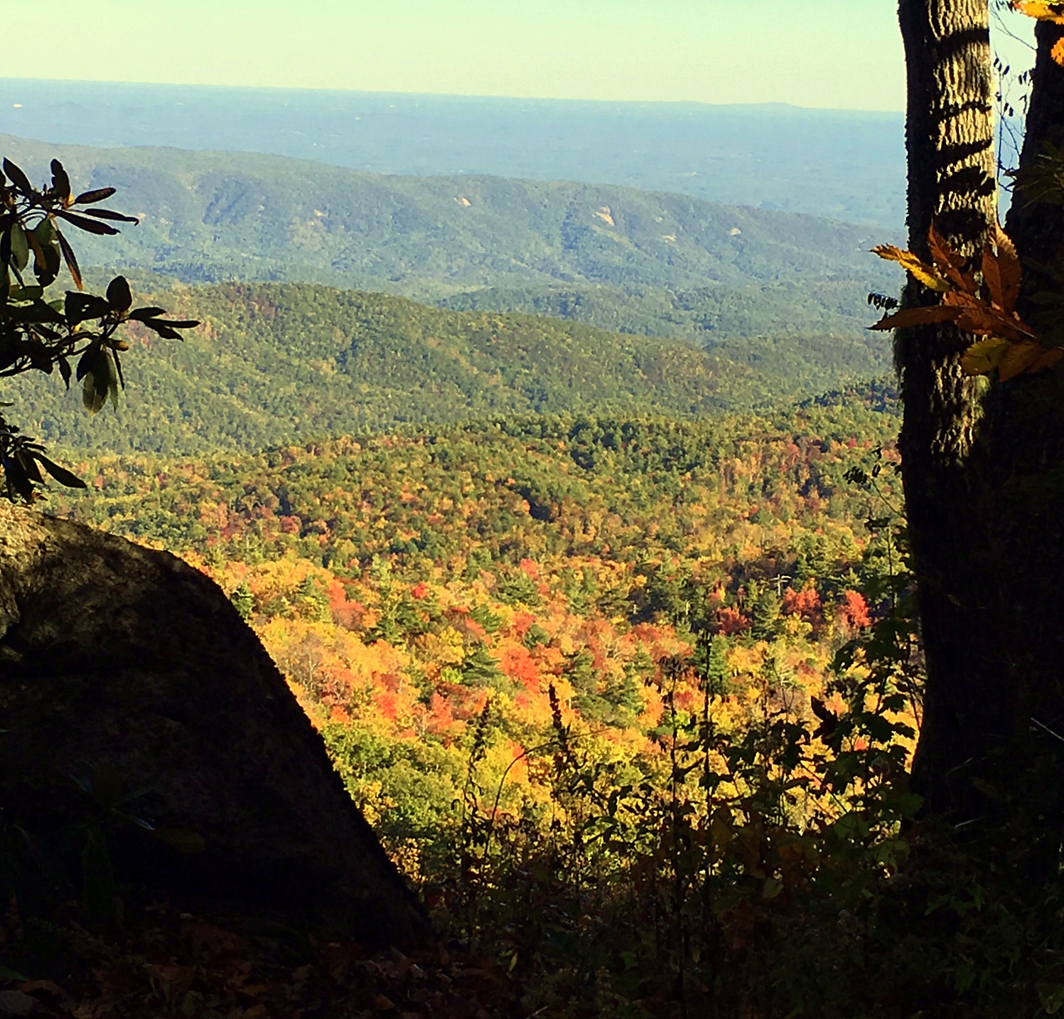 Hiking with a Fat Bald White Guy: Linville Gorge - Jonas Ridge ...