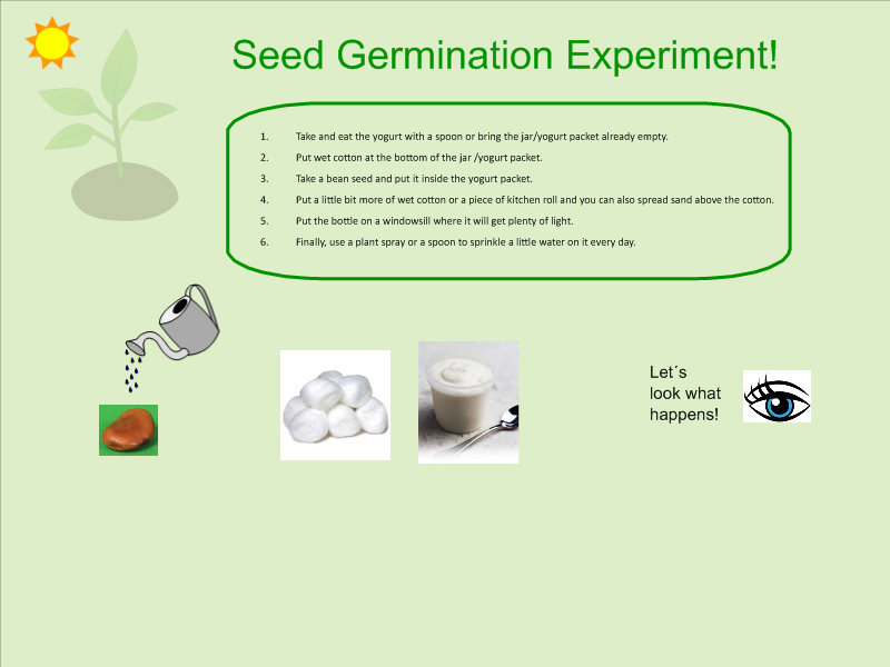 English is fun! Let´s travel!: Seed germination experiment.