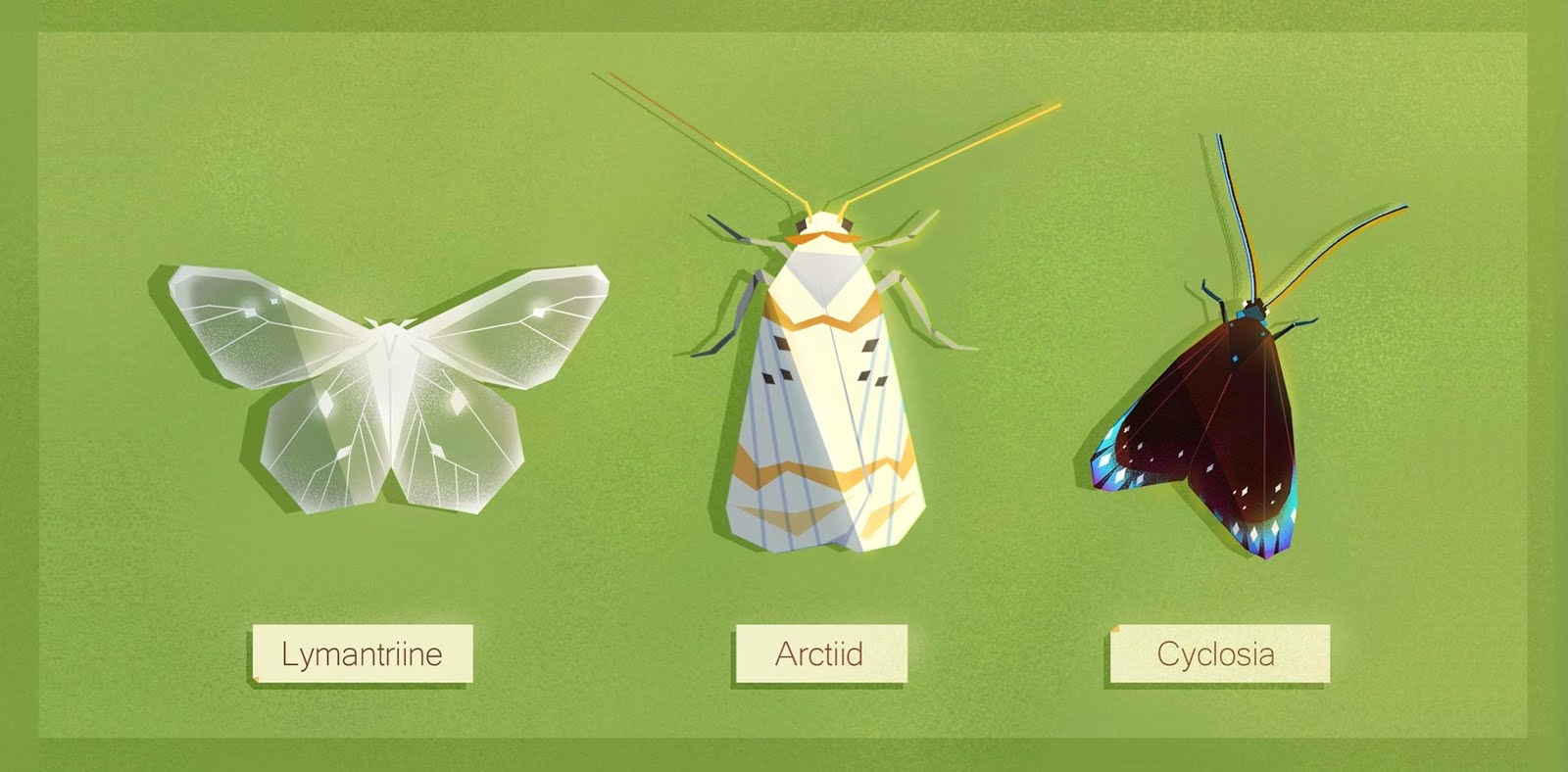 Ghost Moth - Download Free 3D model by Rick Hoppmann (@tinyruin ...