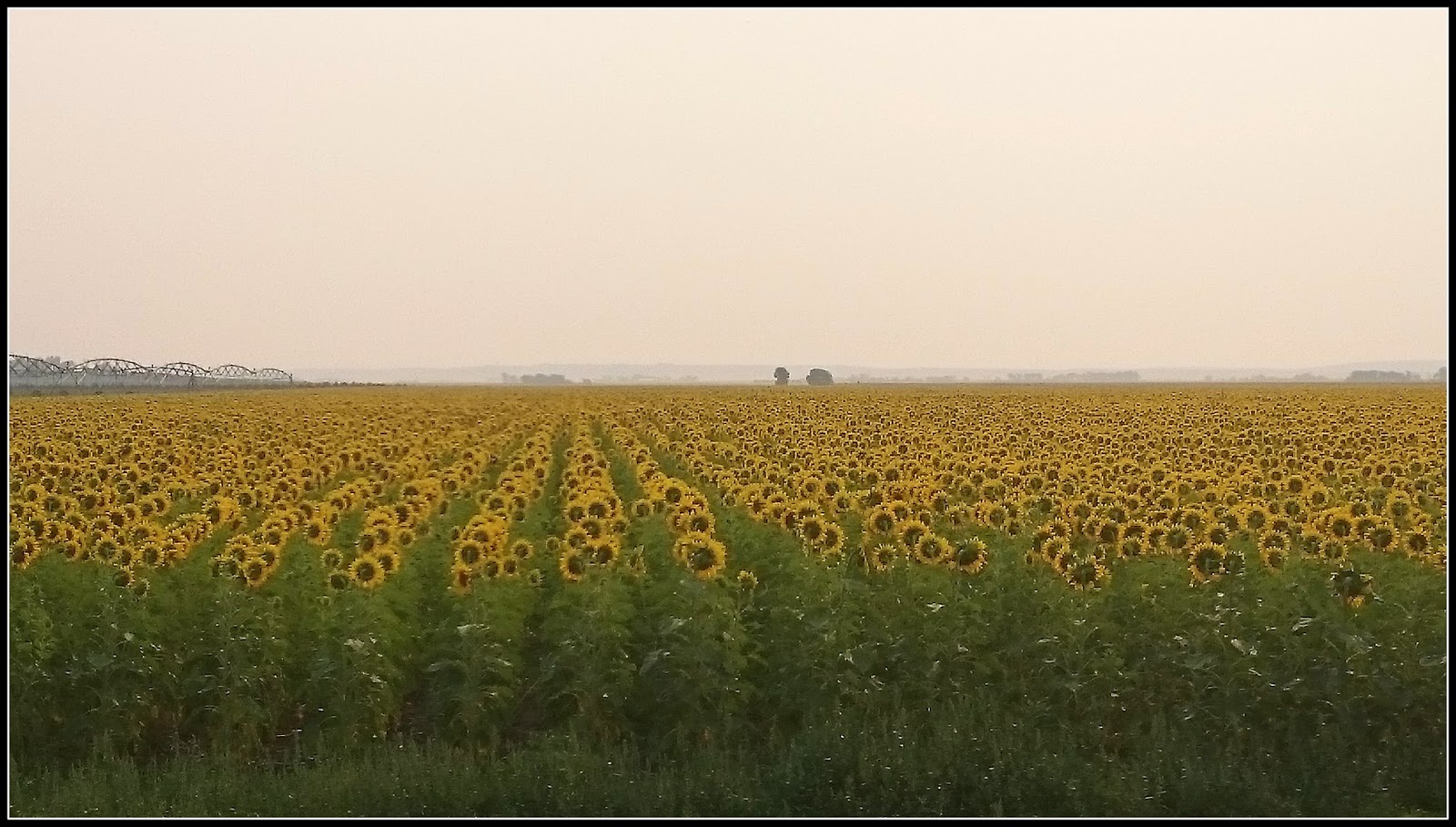 Nebraska - and the Great Plains