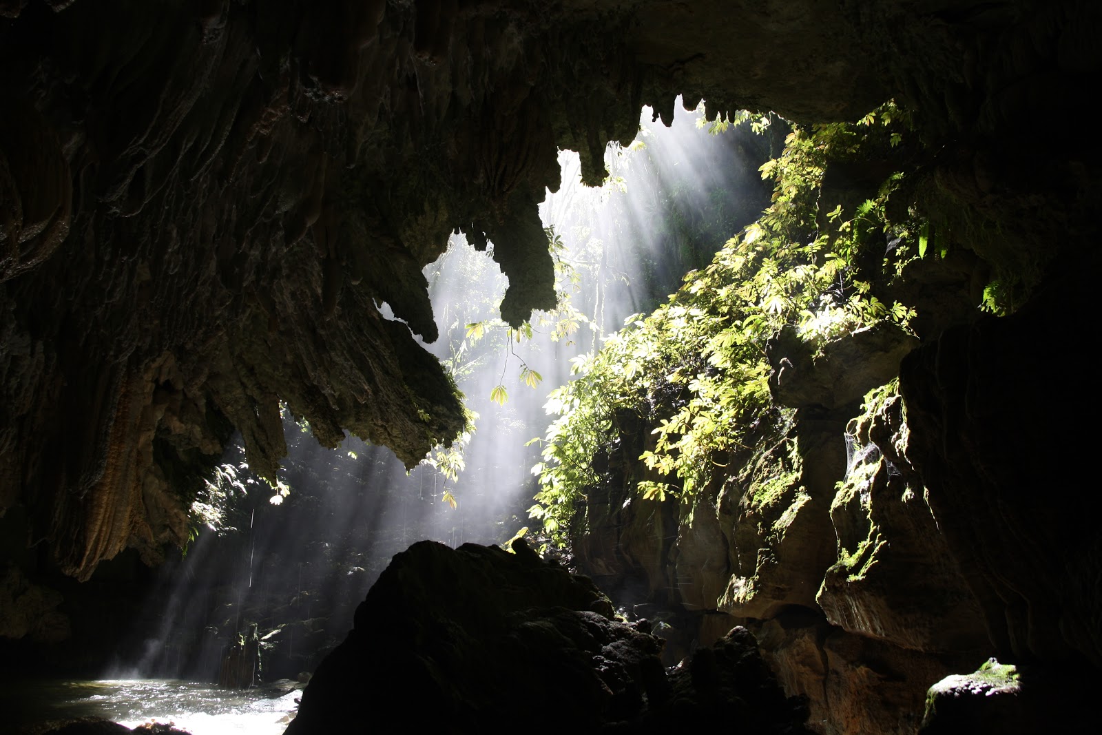 Wanderlust: Waitomo Caves
