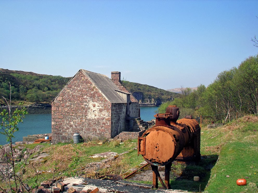 Marc Calhoun: Shark Factory - Soay