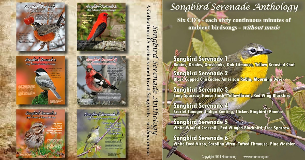 BEST BIRD SONG CD's