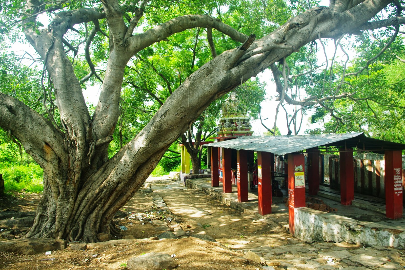 Chaturagiri (Sathuragiri)