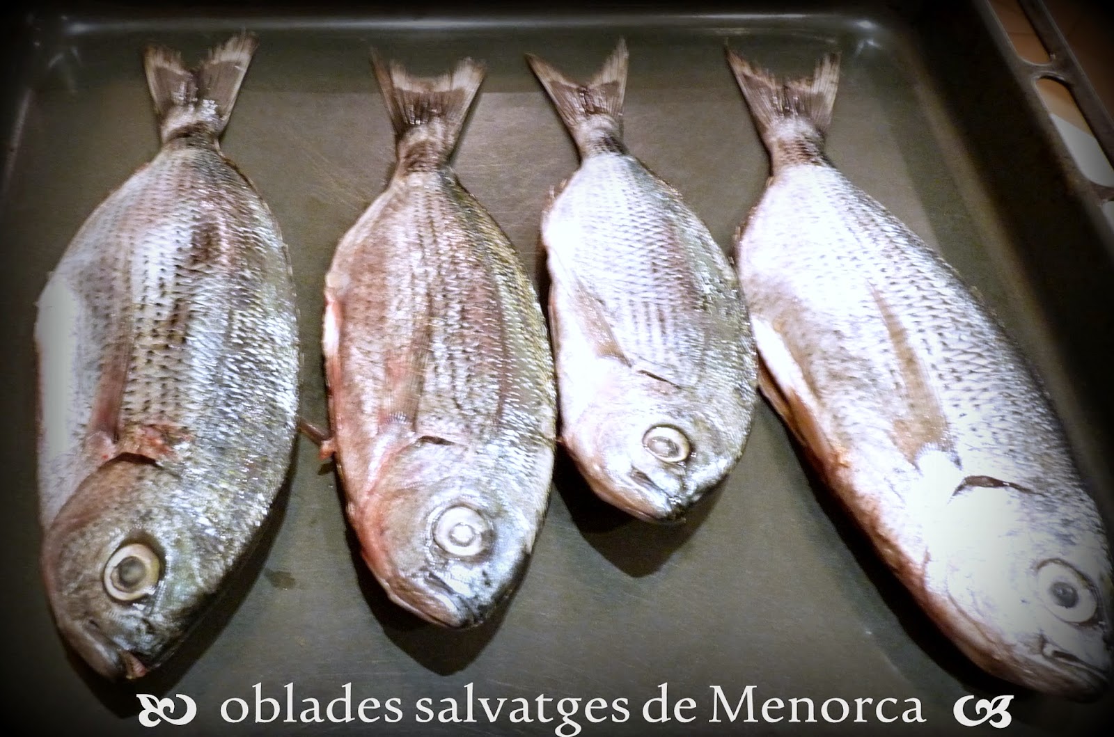 MENJATORUM : OBLADAS A LA SAL