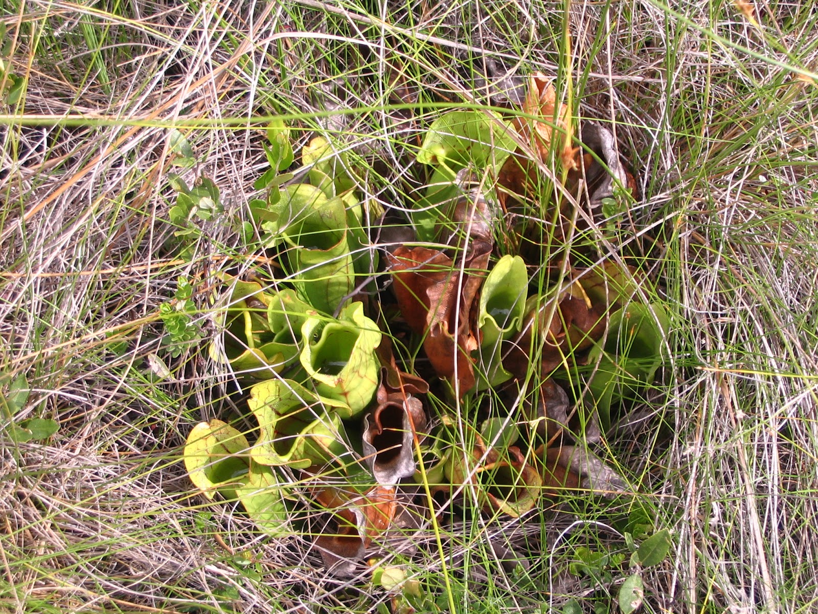 Sailing Adventures of "Second Wind": Quarry Bay to Presque Isle Bay ...