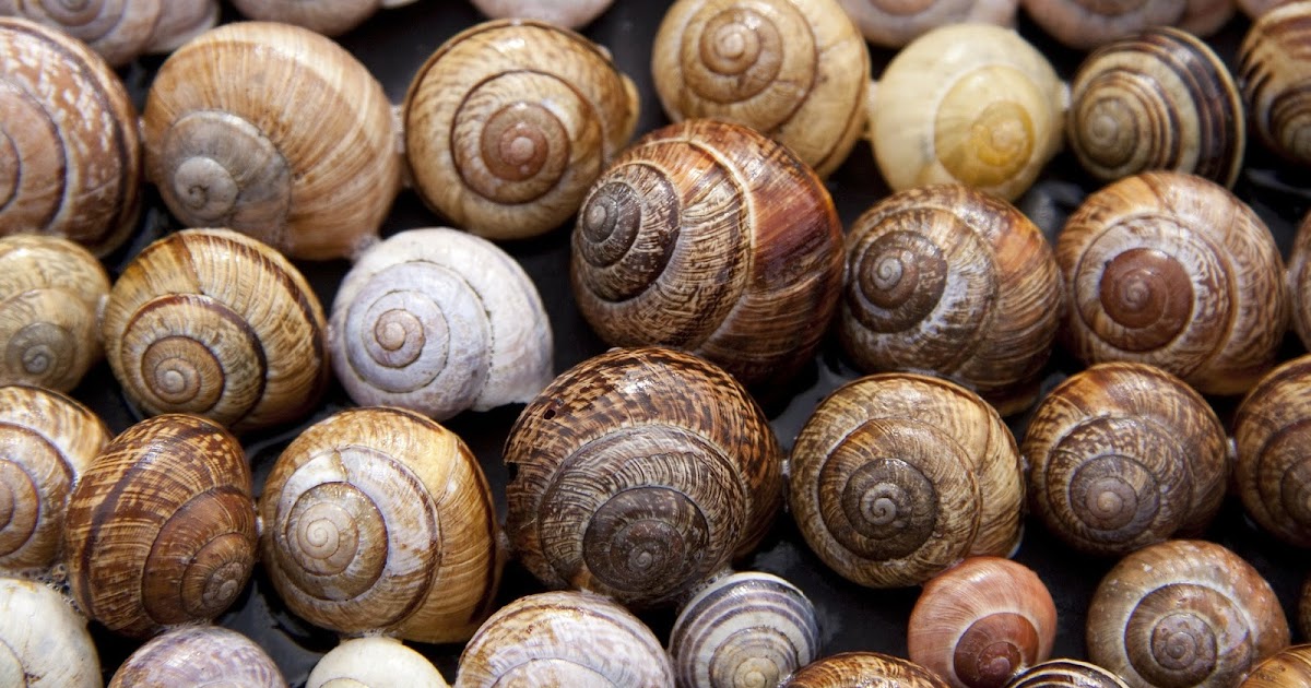 Bible Lessons From The Outdoors: Christian Outdoor Object Lesson 23 ...