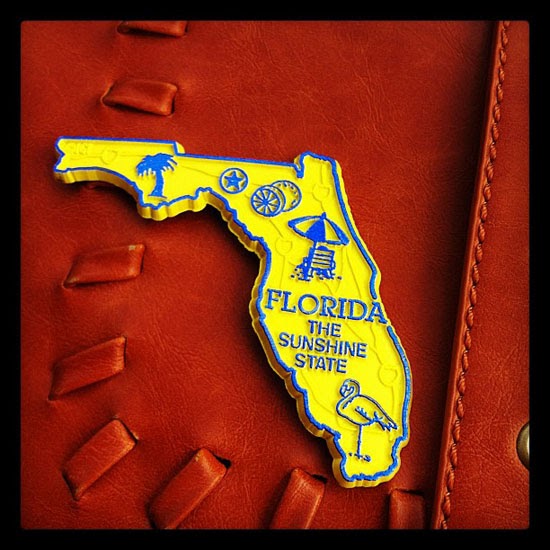 Skunkboy Blog: Florida Bound