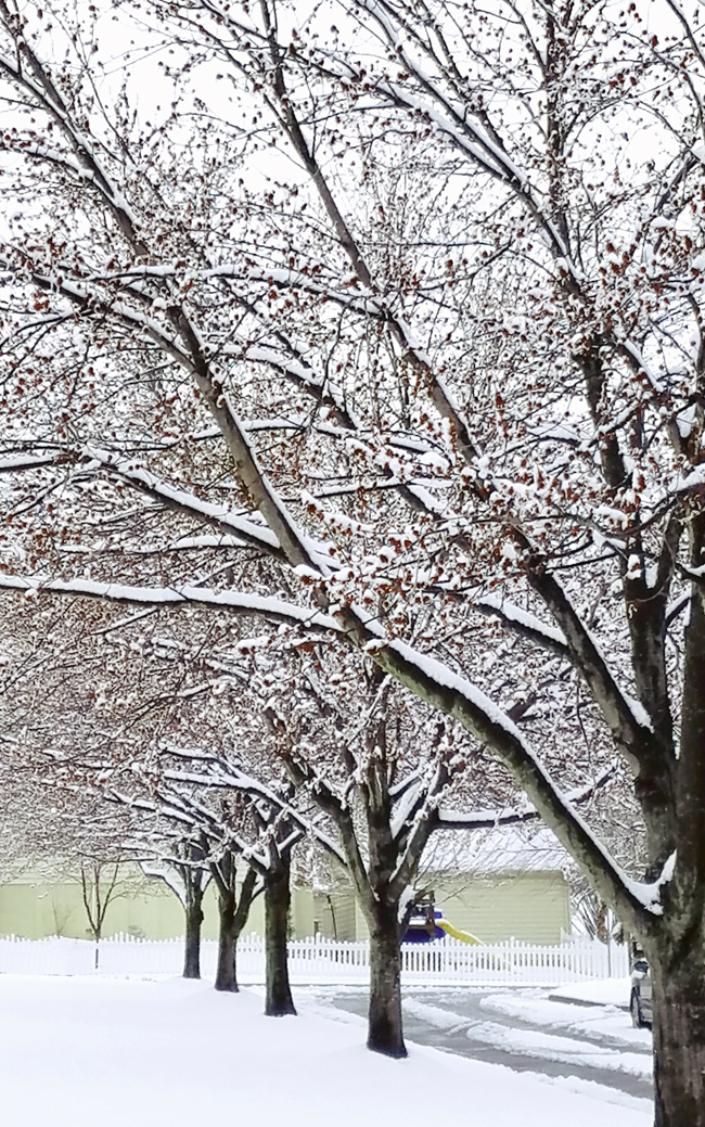 Free Spring Printables - Remodelando la Casa