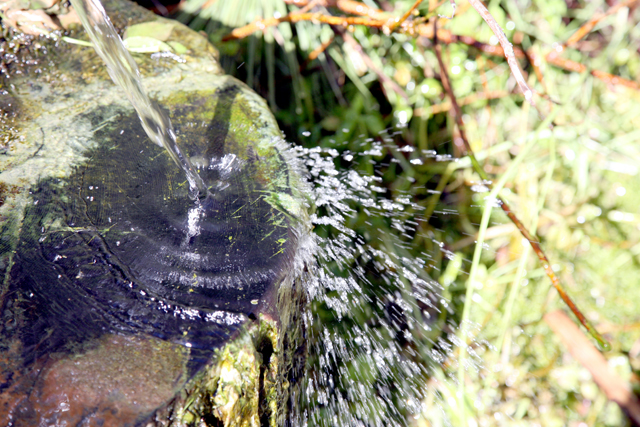 Papa's Poncho: Mountain Home State Forest