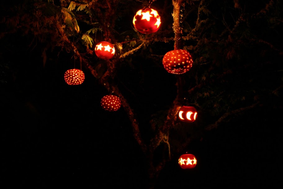 Floating Pumpkin Hanger Kits - Suspend REAL Pumpkins Anywhere: Photos Page