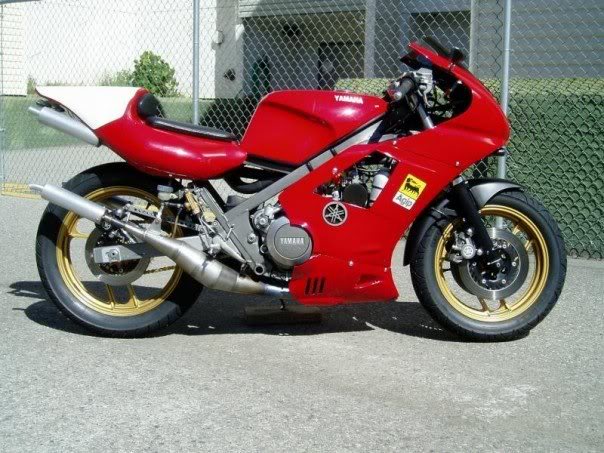 MOTO DESIGN E PASSIONI: DR500 Special