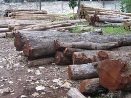 Indonesia Commodity Wide World Trade Market Place