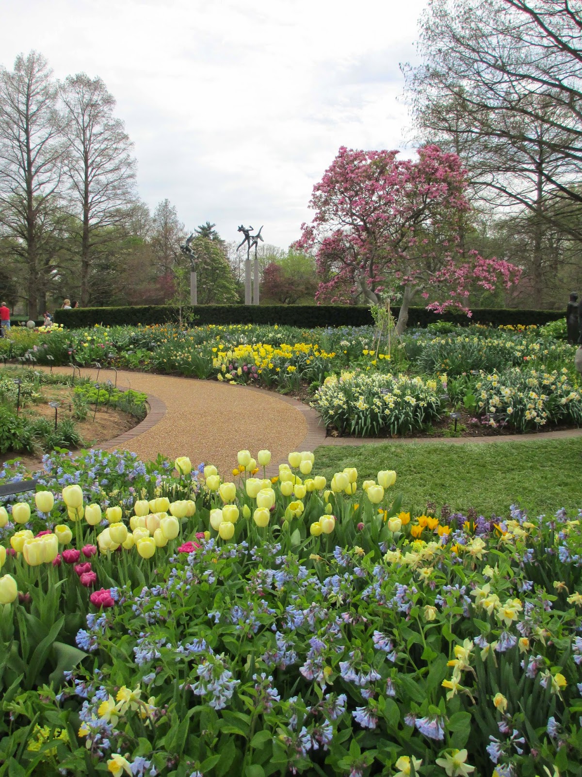 Garden Fancy: Garden Visit: Bulb-tacular MOBOT