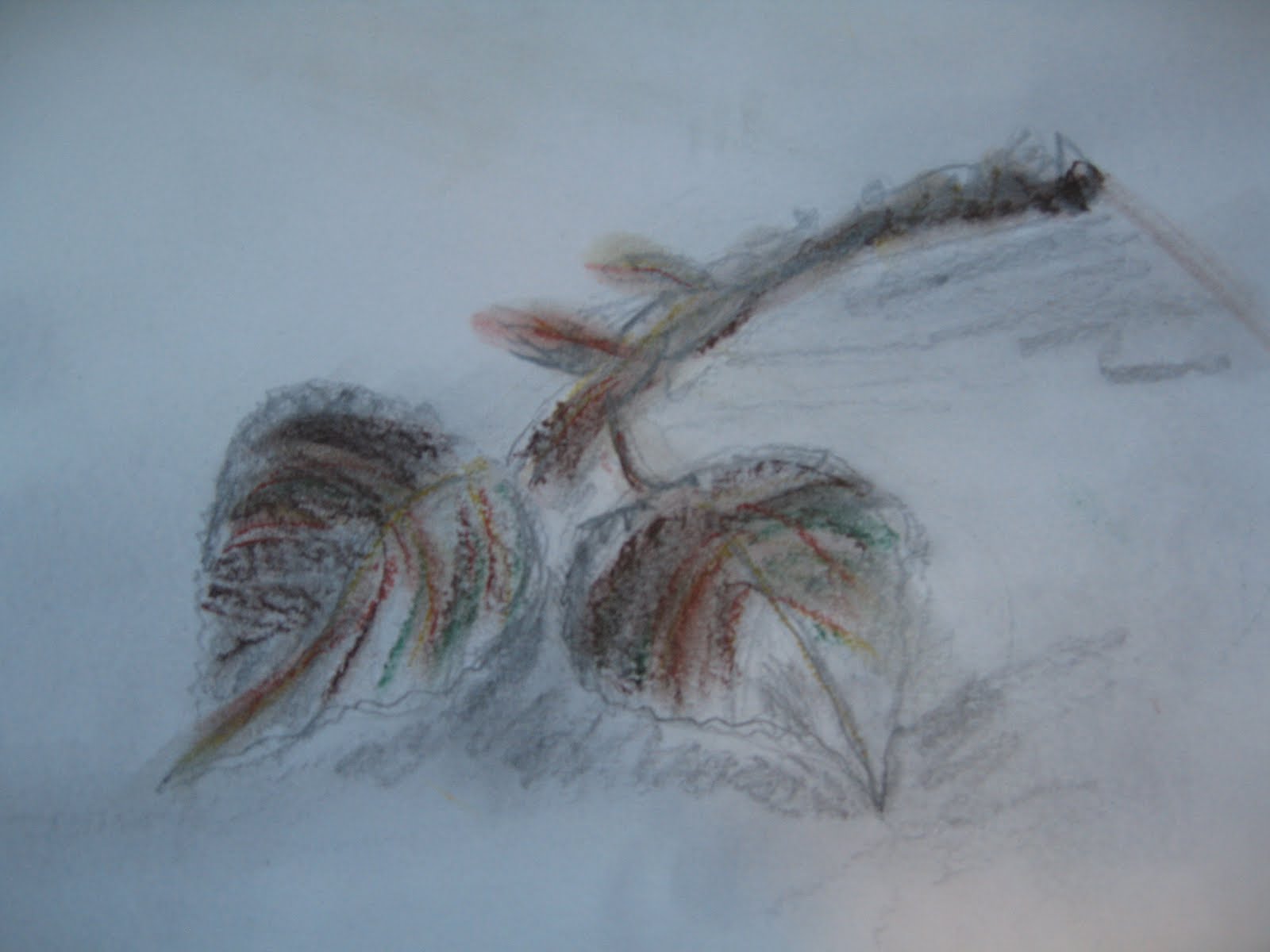 Billedkunst portfolie: Ting og sager fra området