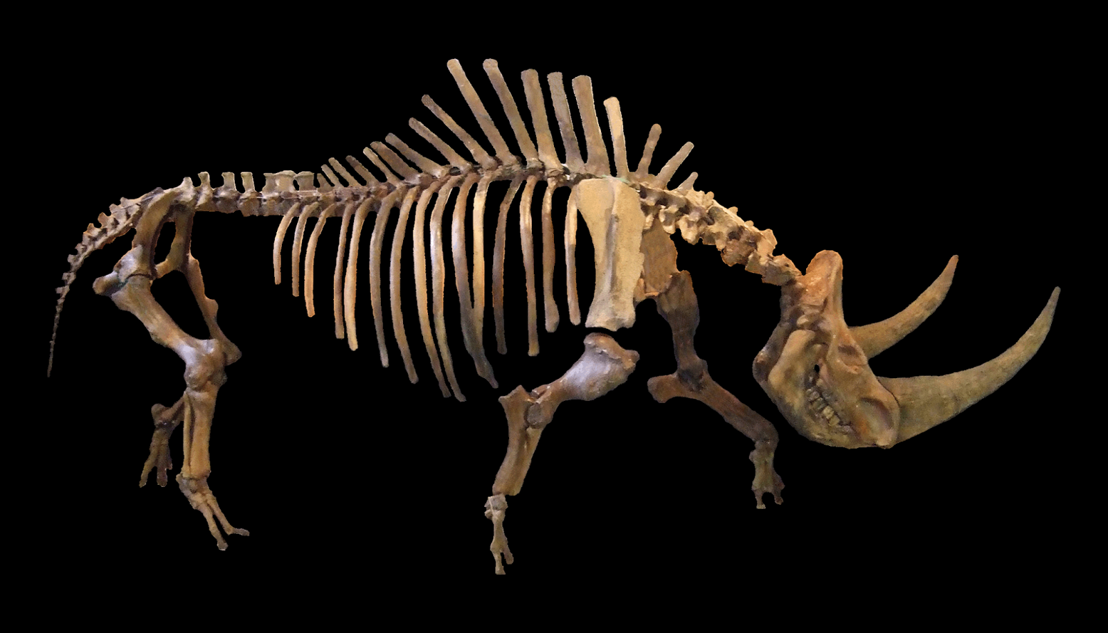 The Expeditioner's Discovery Guild: A little bit of Everything: Museums ...