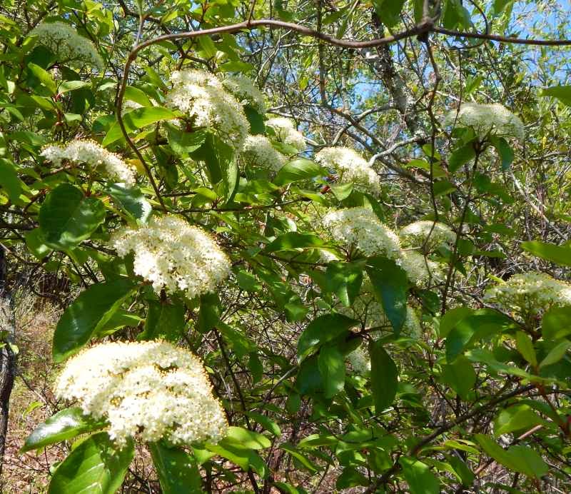 Gardens-In-The-Sand: April 2014