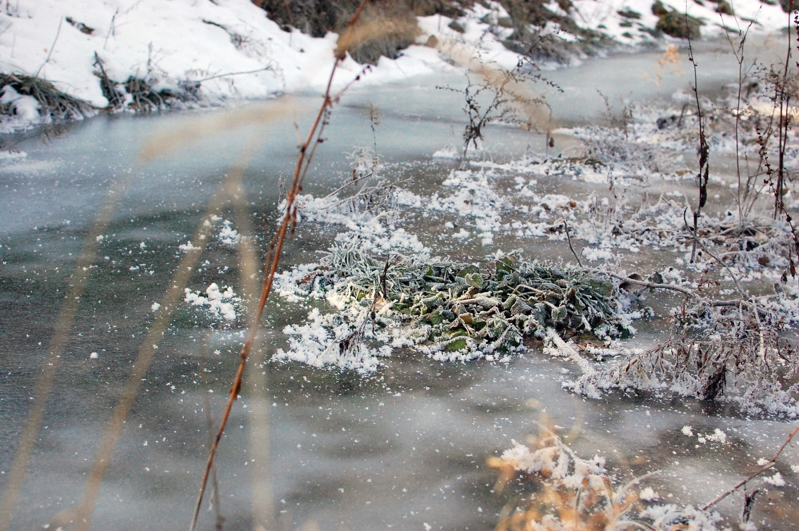 Avalanche Looms: weaving white