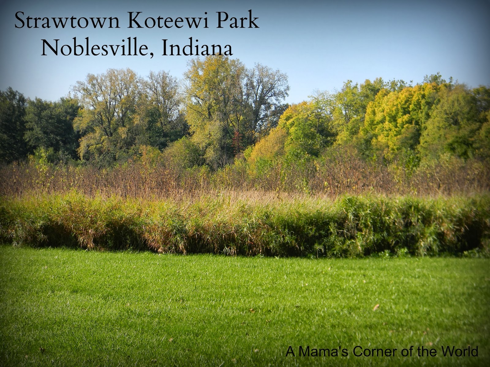 Wordless Wednesday October Link Up: Fall Hike at Strawtown Koteewi Park