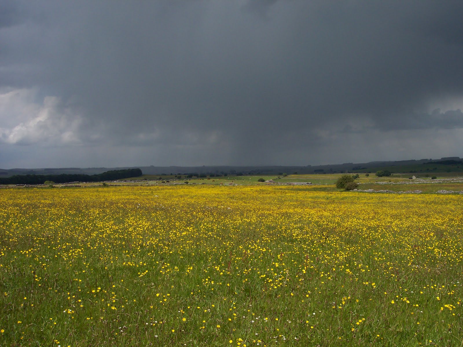 Endurance Adventures: The Baslow Boot Bash- Event Report