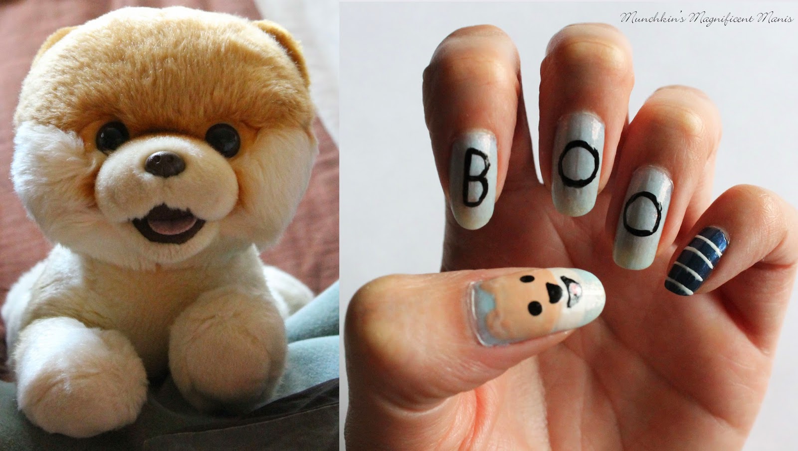 Munchkin’s Magnificent Manis: Internet sensation pet- Boo the dog
