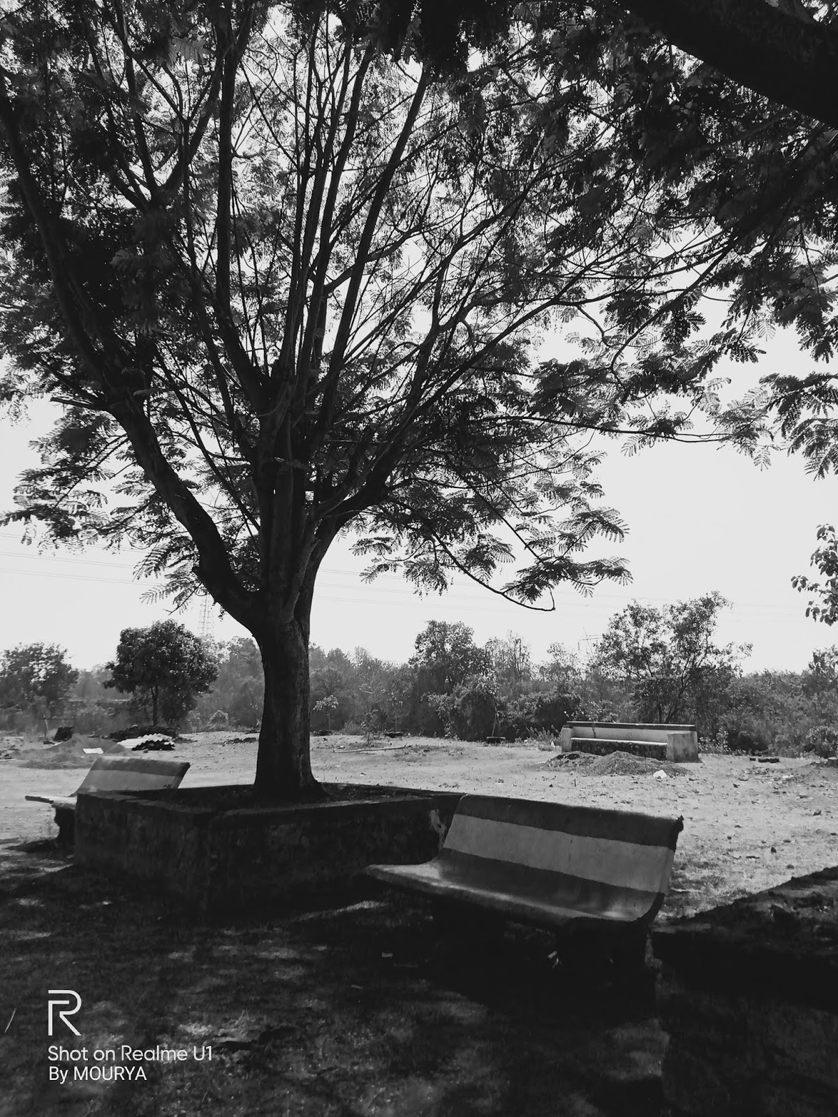 How world look like without colours?