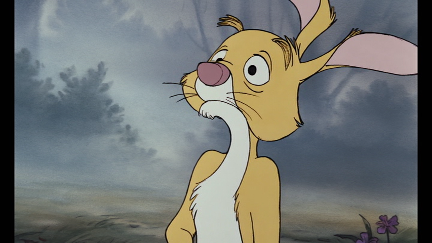 The New Adventures of Winnie The Pooh: The Many Adventures of Winnie ...