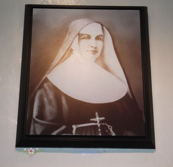 A Catholic Mom in Hawaii: St. Mother Marianne Cope
